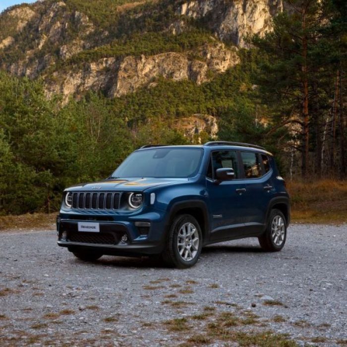 Jeep Renegade Car Dog Crate - Dog Travel Crate - Pet World