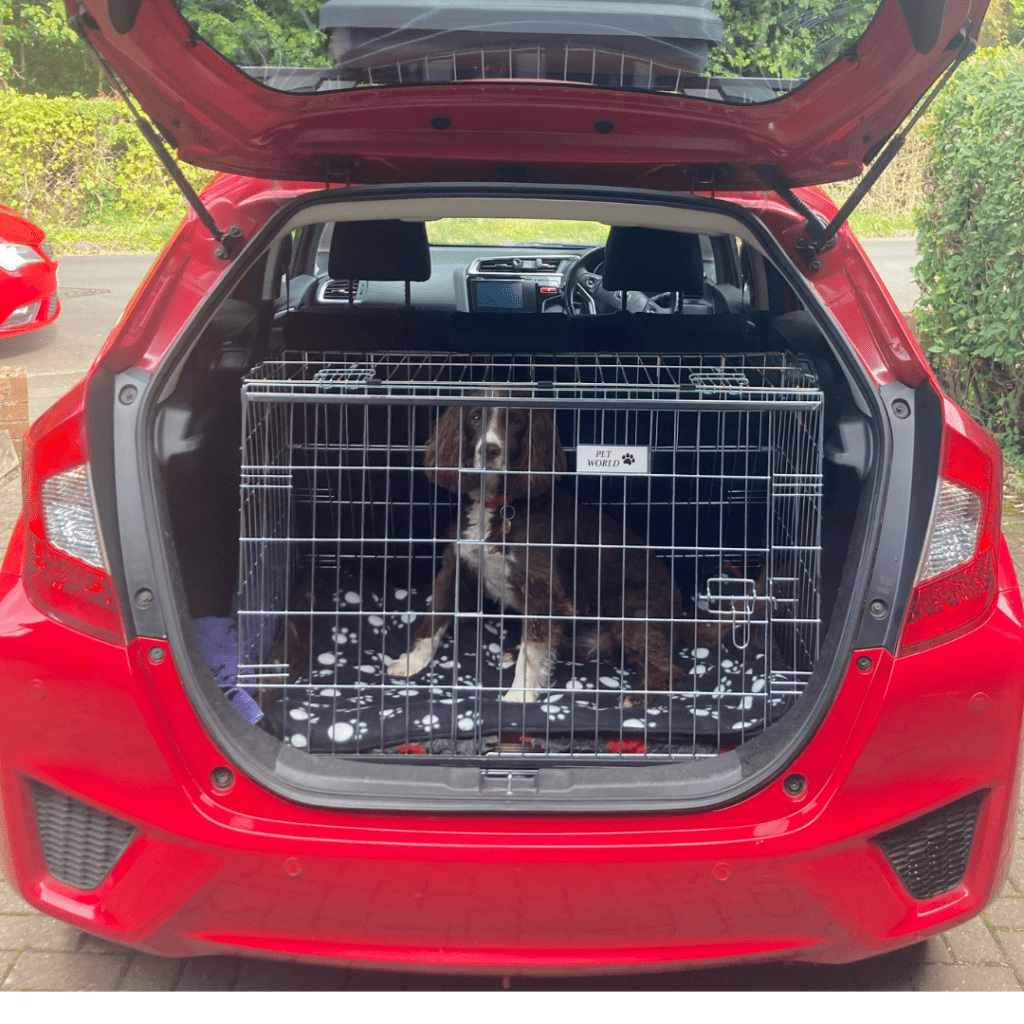 Honda Jazz 2007 - 2014 Car Dog Crate - Dog Travel Crate - Pet World