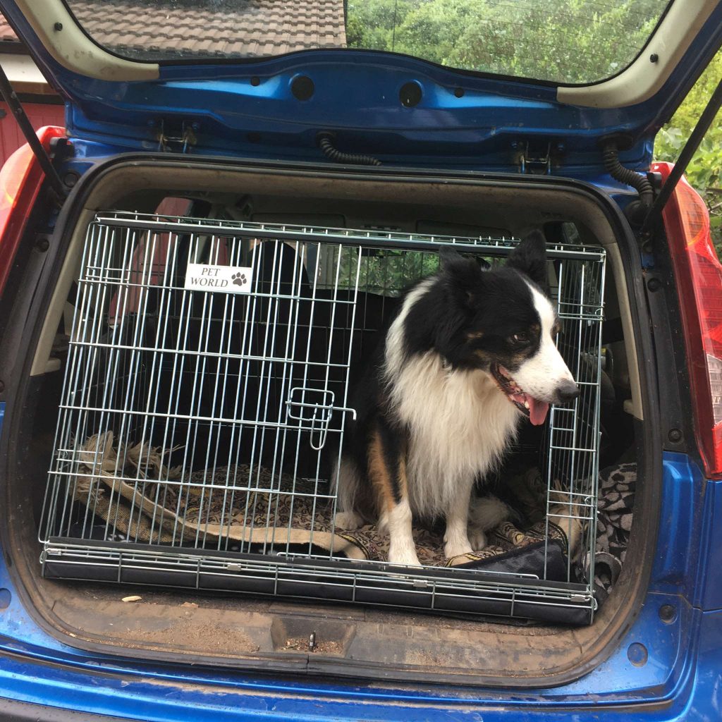 Nissan Note Car Dog Crate - Dog Travel Crate - Pet World