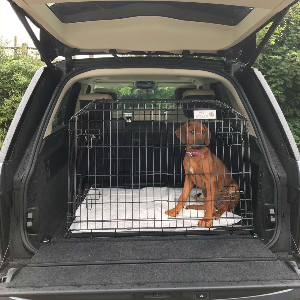 Range Rover Autobiography 2020 Car Dog Crate - Dog Travel Crate - Pet World